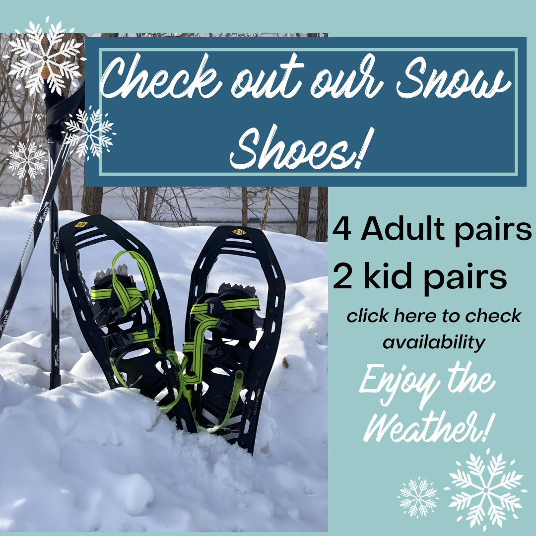 Whitehall Public Library – Whitehall, WI – Promoting Curiosity ...